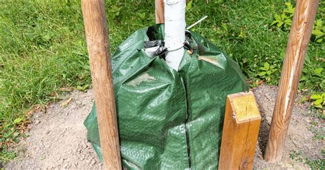Tree Watering Bags Strobert Tree Services