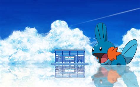 100 Mudkip Pictures