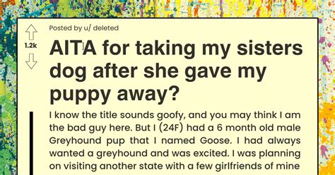 Woman Sells Sisters Dog She Was Petsitting Sister Takes Away Her Pet