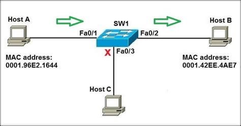 How Does Switch Learn MAC Addresses A Deep Dive Learns Edu Vn