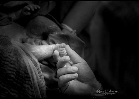 El álbum De La Vida Nora Dalmasso Es La Primera Fotógrafa De Partos