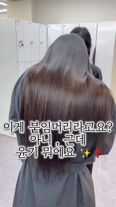 탈색모도 가능한 키티쌤표 매직클리닉 패키지🧚 붙임머리 강남붙임머리 붙임머리이벤트 붙임머리잘하는곳 신사붙임머리 키티쌤숱증모붙임머리 붙임머리스타일링 Youtube