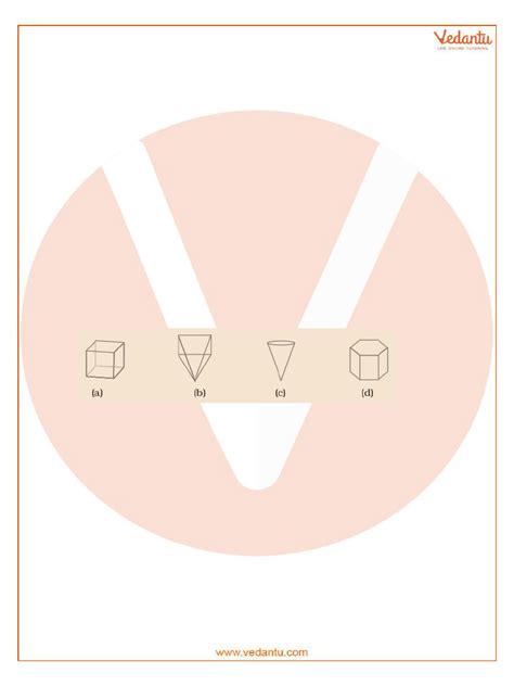 Ncert Exemplar Class 8 Maths Solutions Chapter 6 Visualising The Solid