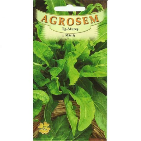 Seminte De Macris Planta Aromatica Si Medicinala Agrosem 4gr