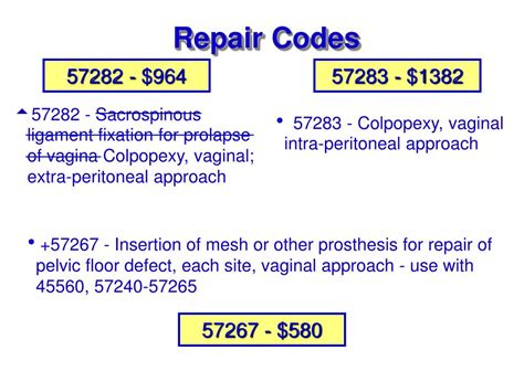 PPT CPT Coding Update PowerPoint Presentation Free Download ID