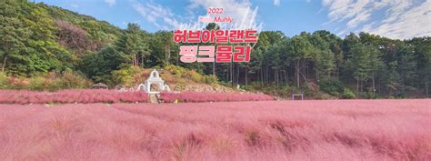 2022 허브아일랜드 핑크뮬리축제 허브아일랜드