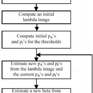Flowchart Showing The Voxel By Voxel Processing Involved In Determining Download Scientific