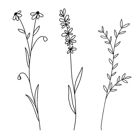 Set Of Handdrawn Wildflowers Vector Outlines Of Flower Sketches With Doodle Line Art Isolated On