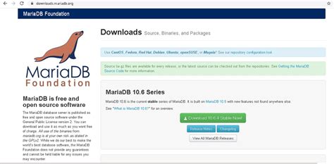 Cài đặt Mariadb 106 Windows Server 2019 Install Mariadb 106 Windows