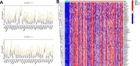 Differential Expression Analysis Of Key Genes A Box Plot Of The Download Scientific Diagram