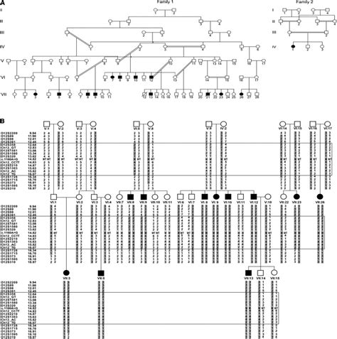 Autocad Serial Number And Activation Code BEST