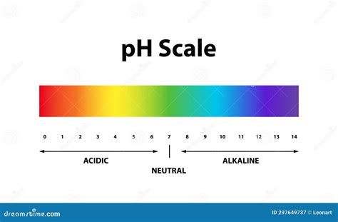 Quantitative Ph Level Scale Chart Indicator Diagram Value Stock Vector Illustration Of Graph