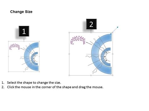 Streptococcus Pyogenes Slide