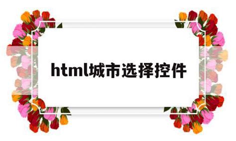 html城市选择控件 html的选择按钮代码 杂七乱八 源码村资源网