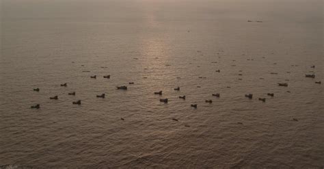 가벼운 경치 고요한 공중 영상 구름 길 찾기 날씨 대기의 드론으로 찍은 사진 따뜻한 떠 있는 물 바다 바다 경치 박무 반사 보트 새벽 수평선