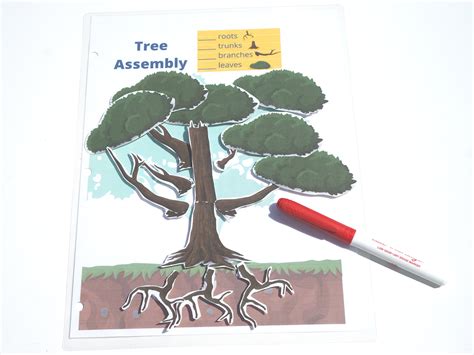Build A Tree Printable Activity For Pre K Science Busy Book Garden Plant Unit Study Parts Of