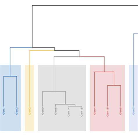 Cluster Analysis Showing The Grouping Of Genotypes According To The Download Scientific Diagram