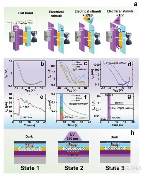 中国科学技术大学《adv Funct Mater 》：基于2d 3d集成wse2 Gan双通道浮栅晶体管的宽光谱人工四色突触器件 知乎
