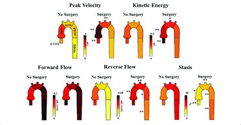 Differences In Hemodynamic Parameters Between Bav Patients Who Download Scientific Diagram