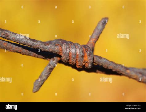 Sting Wire Detail Stings Wire Rust Rusting Stock Photo Alamy