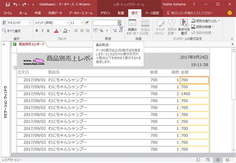 アクセス format関数 の使い方と活用例Access関数完全ガイド