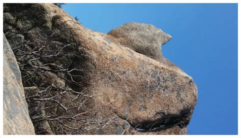 인간의 대지 생텍쥐페리 No 2016 4