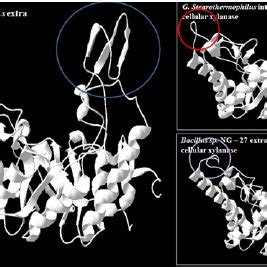 A Closer View Around The M233 Of Extracellular Xylanase T 6 Download