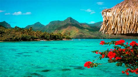 [100 ] Tropical Island Wallpapers