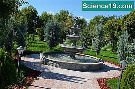 Адаптиране на растенията и животните в умерените гори 💫 Научно Популярен Мултимедиен Портал 2025