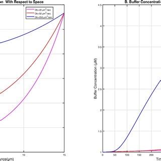 Calcium Dynamics For Different Values Of Calciums Diffusion Coefficient Download Scientific