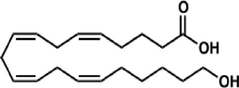 Figure 1 1 From Use Of Surface Enhanced Raman Spectroscopy For The Detection Of Bioactive Lipids