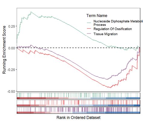 Gseavis 多条通路可视化 Junjunlabgseavis Github Wiki