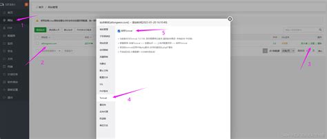 阿里云轻量服务器下＞安装宝塔面板＞安装使用tomcat服务器＞通过公网ip地址＞直接访问网站目录下文件 win安装宝塔面板 同时安装iis和