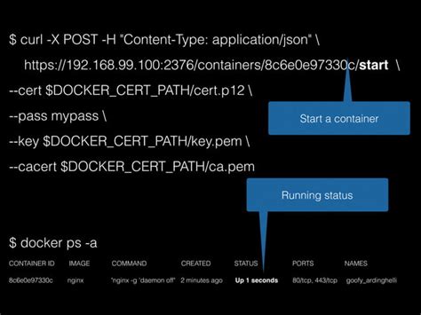 Docker Remote Api Ppt