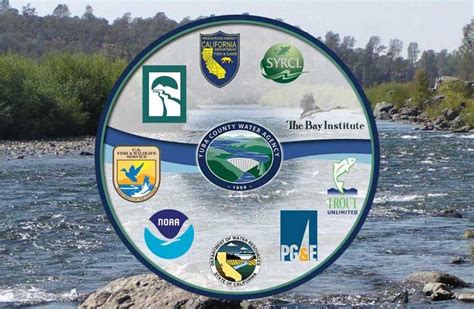 Salmon Studies On The Lower Yuba River Set New Benchmark For