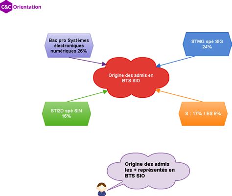 Découvrez tout sur le BTS SIO options programmes que faire après
