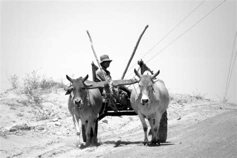 Nina Buschmann Zu Ihren Lese Und Reisegewohnheiten