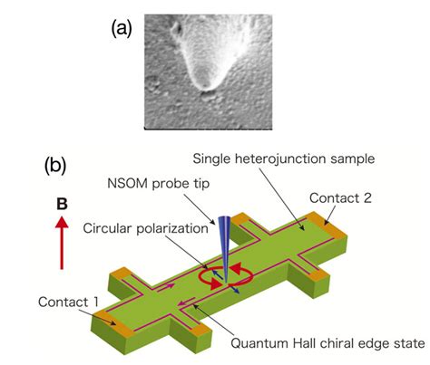 Circularly Polarized Near Field Scanning Optical Microscope For Investigations Of Edge States Of