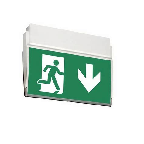 Rectangular Acrylic Exit Signage Board Thickness 1 5 Mm At 200 Piece In Raigad