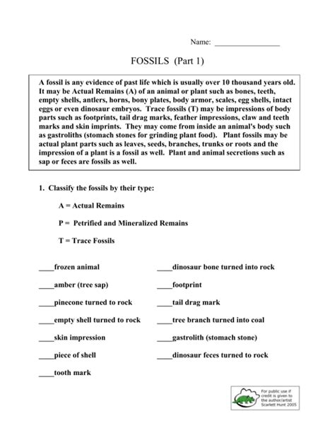 Fossils Worksheet Types And Formation