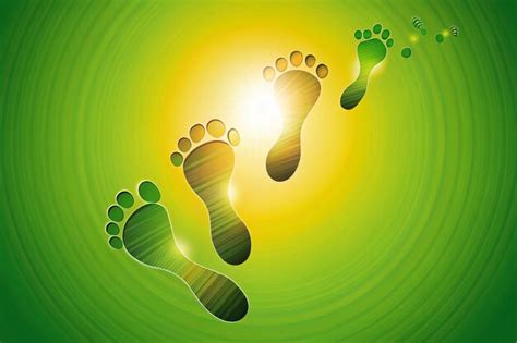 Footprint Path Illustration For Travel And Adventure Premium Ai