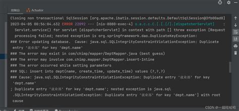 Idea报错解决：duplicate Entry ‘xxxxx‘ For Key ‘yyyy‘idtypeauto报错duplicate