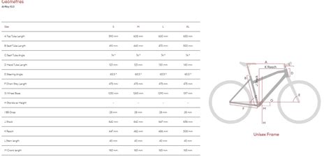 Raymon Airray 100 Peak Bike