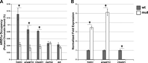 Loss Of Dna Binding Correlates With Reduced Promoter Occupancy And
