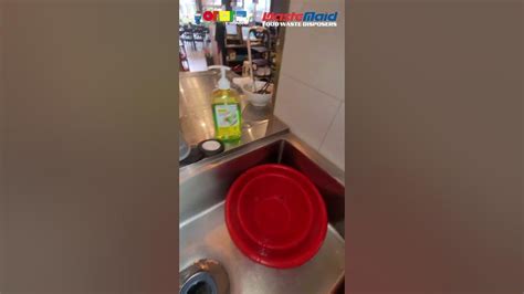 업소용음식물분쇄기 스와니300 디스포저 신규설치 음식물은 아마코 주방에서 삶의 질이 높아집니다 음식물쓰레기 음식물처리기 음식물분쇄기청소 Youtube