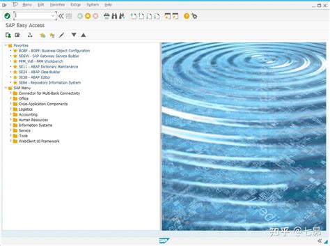 思爱普（sap）真难之gui主题设置 知乎