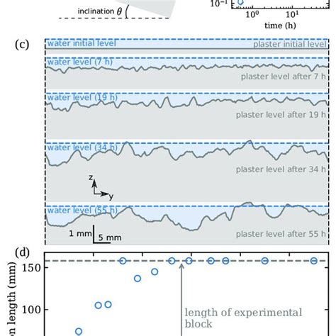 A Sketch Of The Dissolution Experiment Side View A Water Film Of