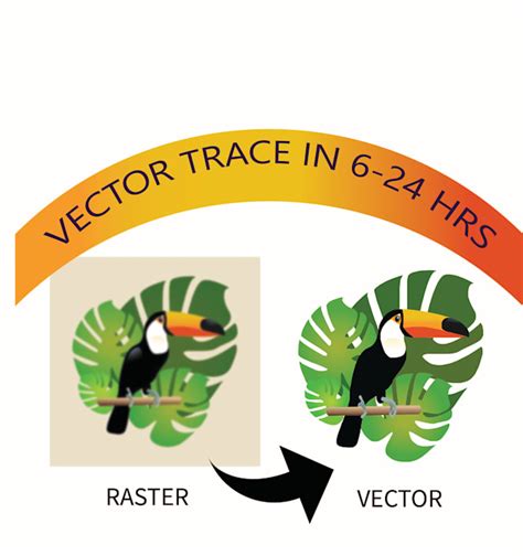 vectorize redraw trace recreate logo in adobe illustrator by