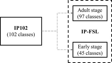 Ip Fsl Classes As Derived And Separated From Ip102 Download