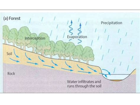 Drainage Basins Vle Pptx